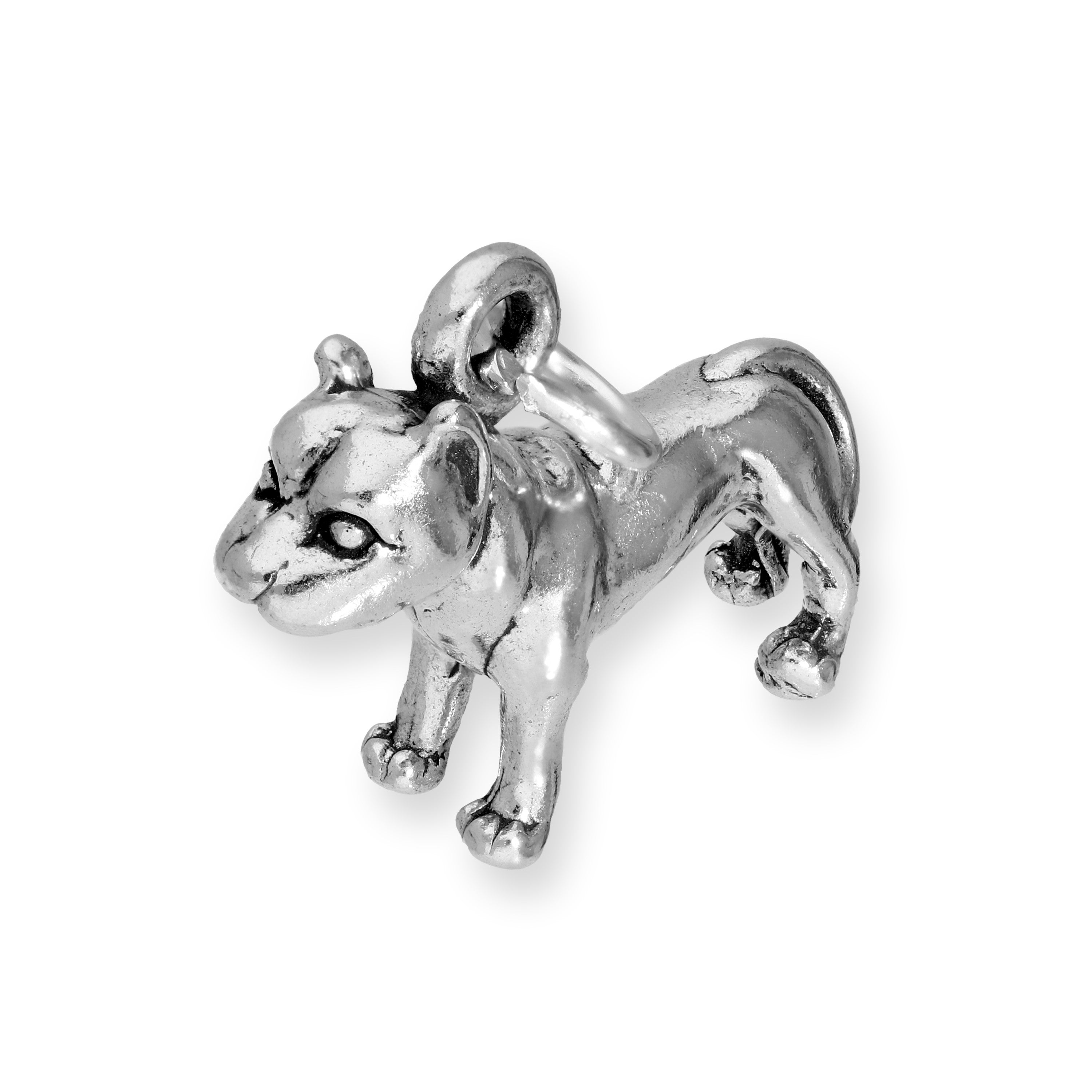 Sterling Silver Pit Bull charm | TheCharmWorks